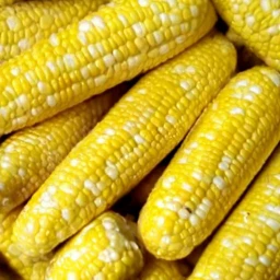 Diffusion Posterior Sampling for General Noisy Inverse Problems