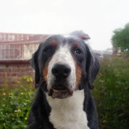 Diffusion Posterior Sampling for General Noisy Inverse Problems