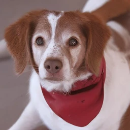 Diffusion Posterior Sampling for General Noisy Inverse Problems